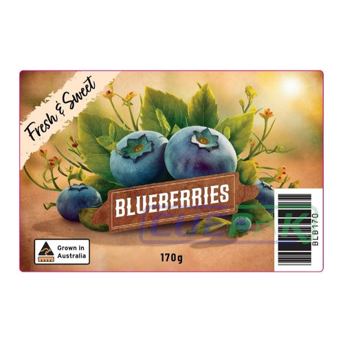 Blueberry Stickers 170g | 500 Labels Per Roll | CUE BR Plastics