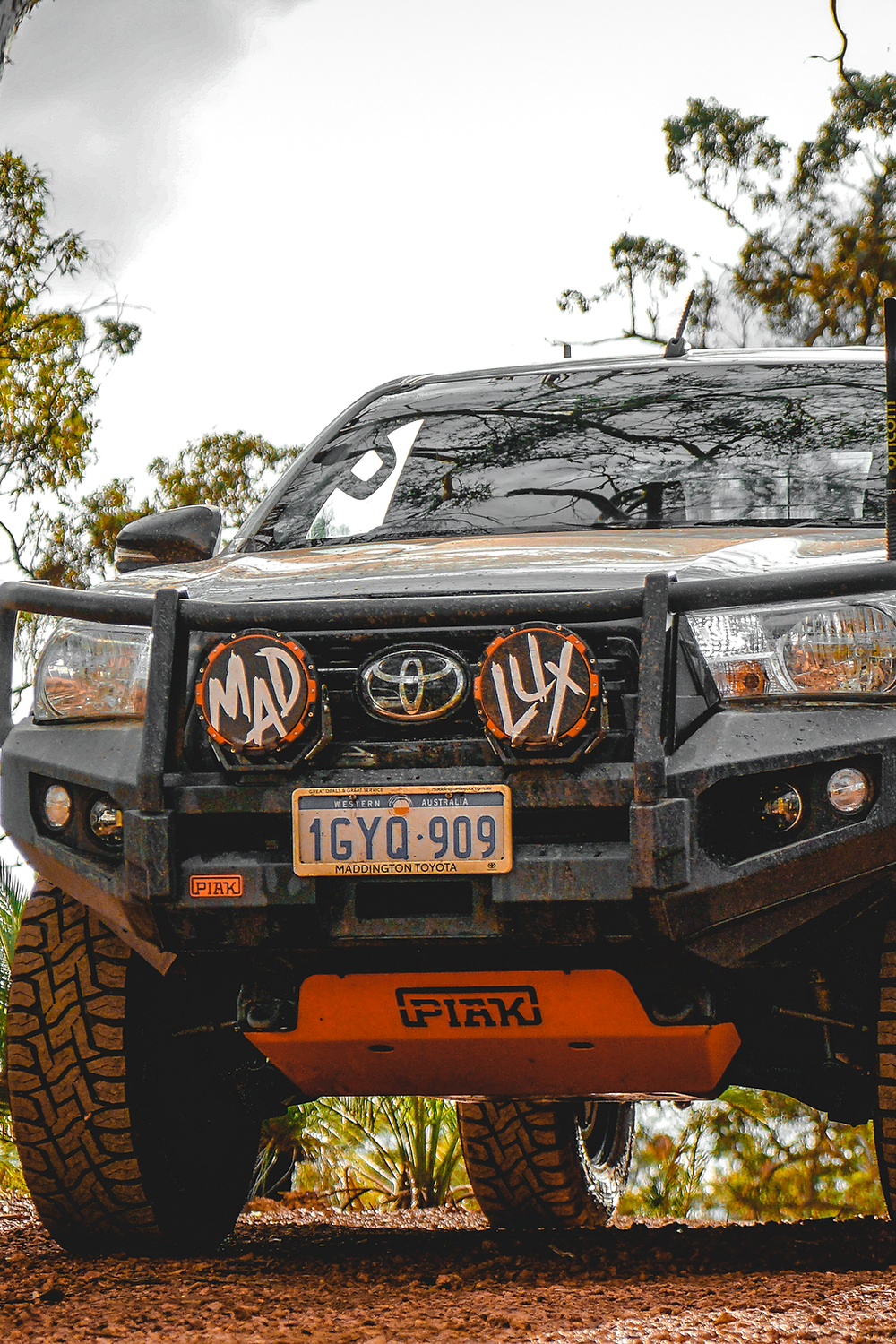 Wazmad Decal - MAD LUX | AOM Offroad
