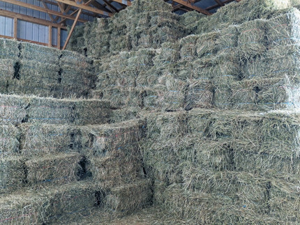 Organic Grass Fed Grass Finished Beef, Pasture Raised NON-GMO Pork ...