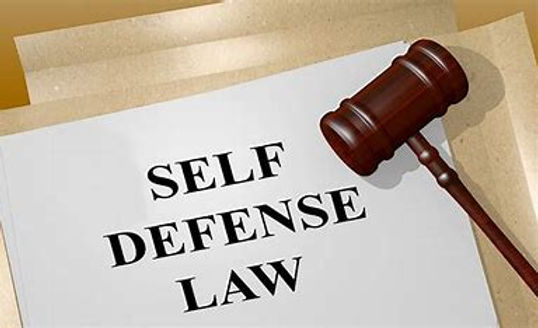 Understanding Self-Defense Laws in Florida from Viking 6 Tactical