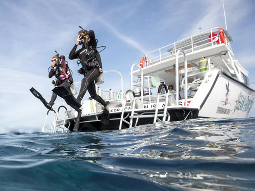 Discovery Scuba Dive in Fujairah For Beginners - Gift Voucher - Ithara.ae