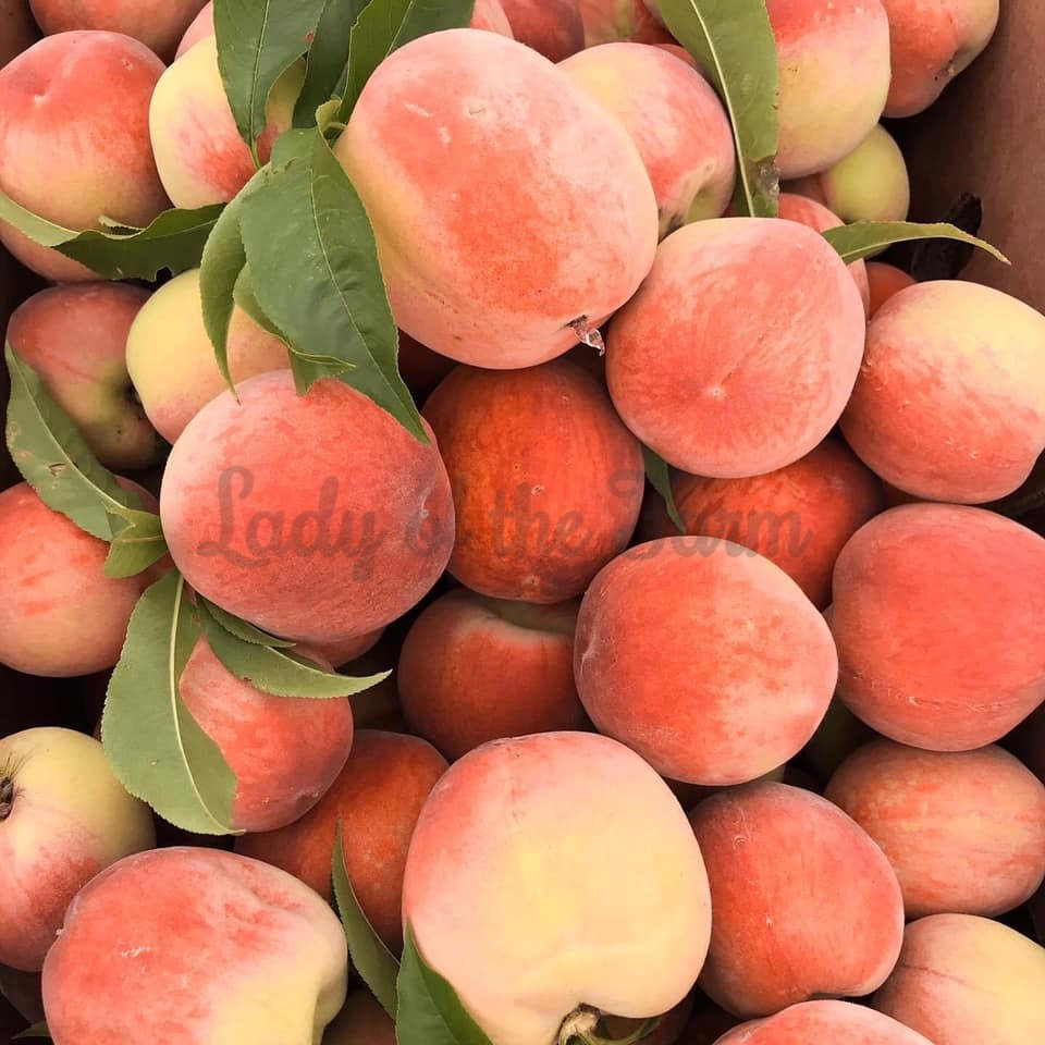 Georgia Peach Festival + A Recipe