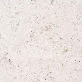 16x16 Seashell Limestone Pavers | Mega Stone