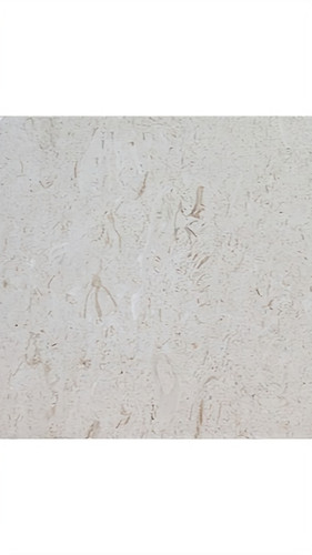 24x24 Seashell Limestone Pavers | Mega Stone