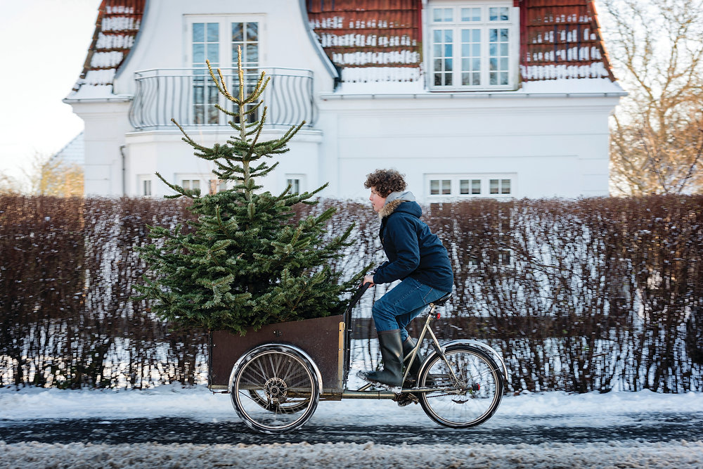 A Beginners Guide to Danish Christmas