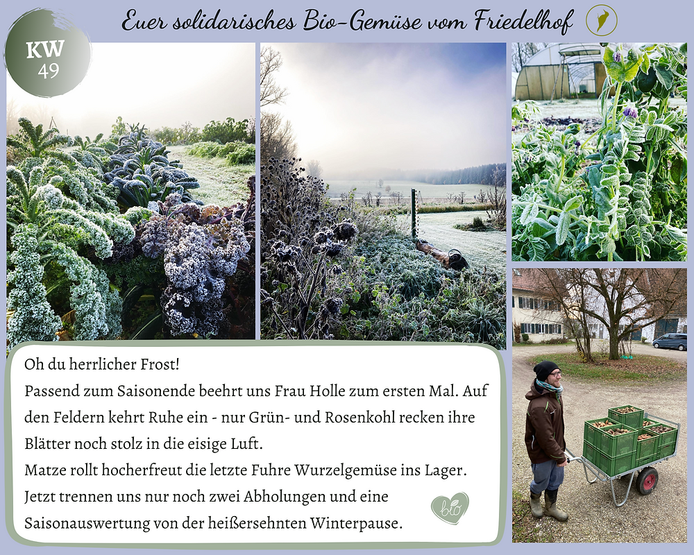 Kalenderwoche 49
