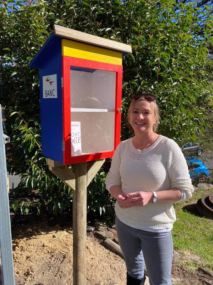 Final Street Library Boxes