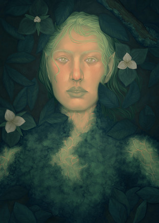 Freelance illustrator | Elizabeth Lynn Botkin