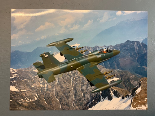 AERMACCHI MB-339C picture | Doors2Manual