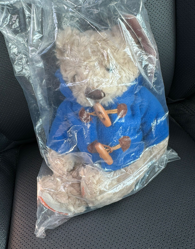 easyJet Limited Edition Gulliver Bear | Doors2Manual