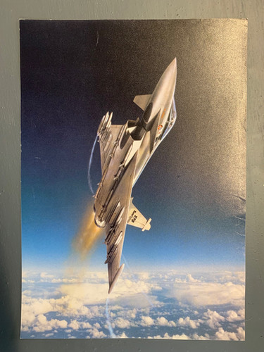 The European Fighter Aircraft | Doors2Manual