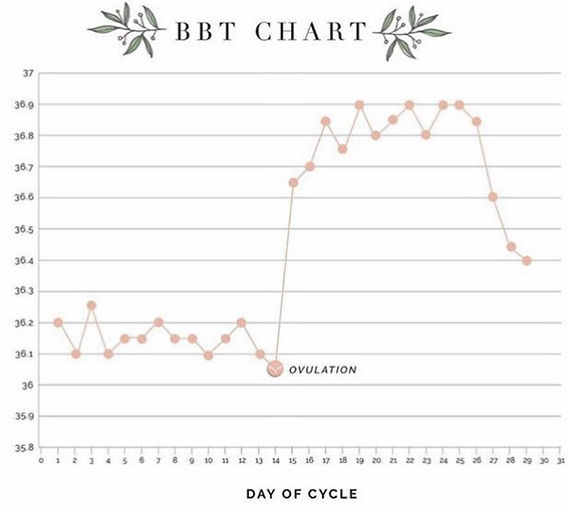 Pregnancy Temperature Chart