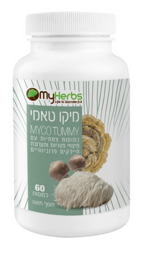 מיקו טאמי | doctor-lu-and-tami