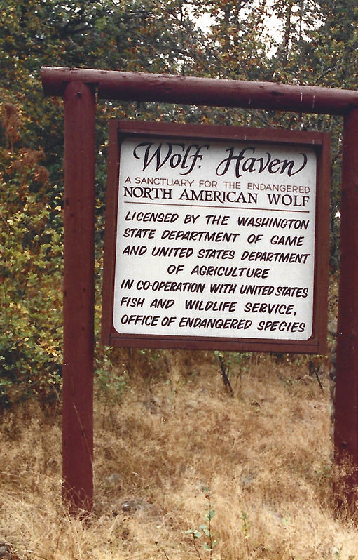 About | Wolf Haven International