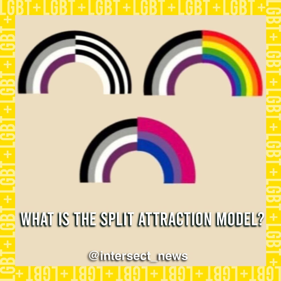 What Is The Split Attraction Model