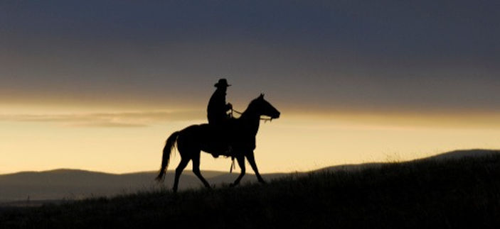 Benefits + Costs of Rugged Individualism