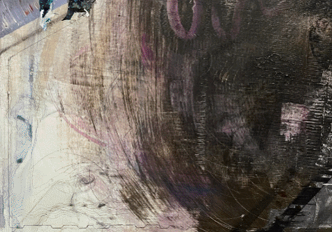 Rollo International | Taiwan - Israel