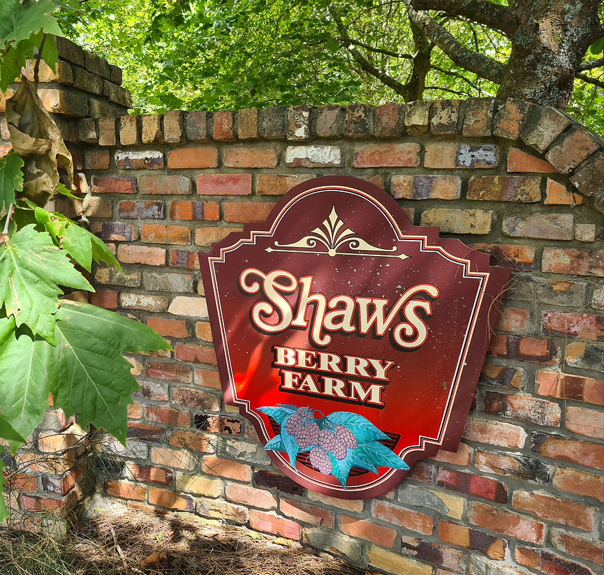 Contact | Shaws Berry Farm