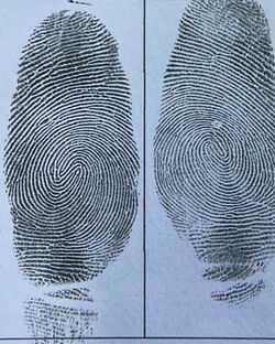 Fingerprint Services - Forensic Insight Ltd | fingerprints | 11P ...