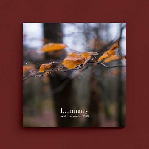 Issue 20 | Autumn Winter 2020 | Luminary Colour