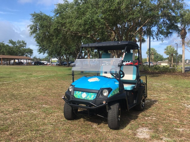 Golf Carts | Green Machine Customs and Carts | United States