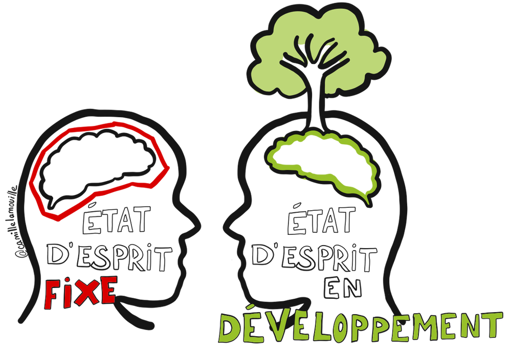 Le Growth Mindset : Comment nos croyances peuvent saboter ou encourager ...