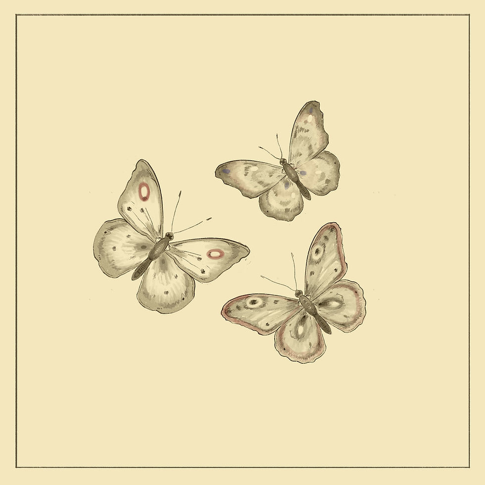 sheetmusic | Enzo Corne