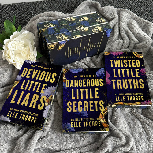 Saint View High Trilogy Special Edition Paperbacks (Discreet version ...