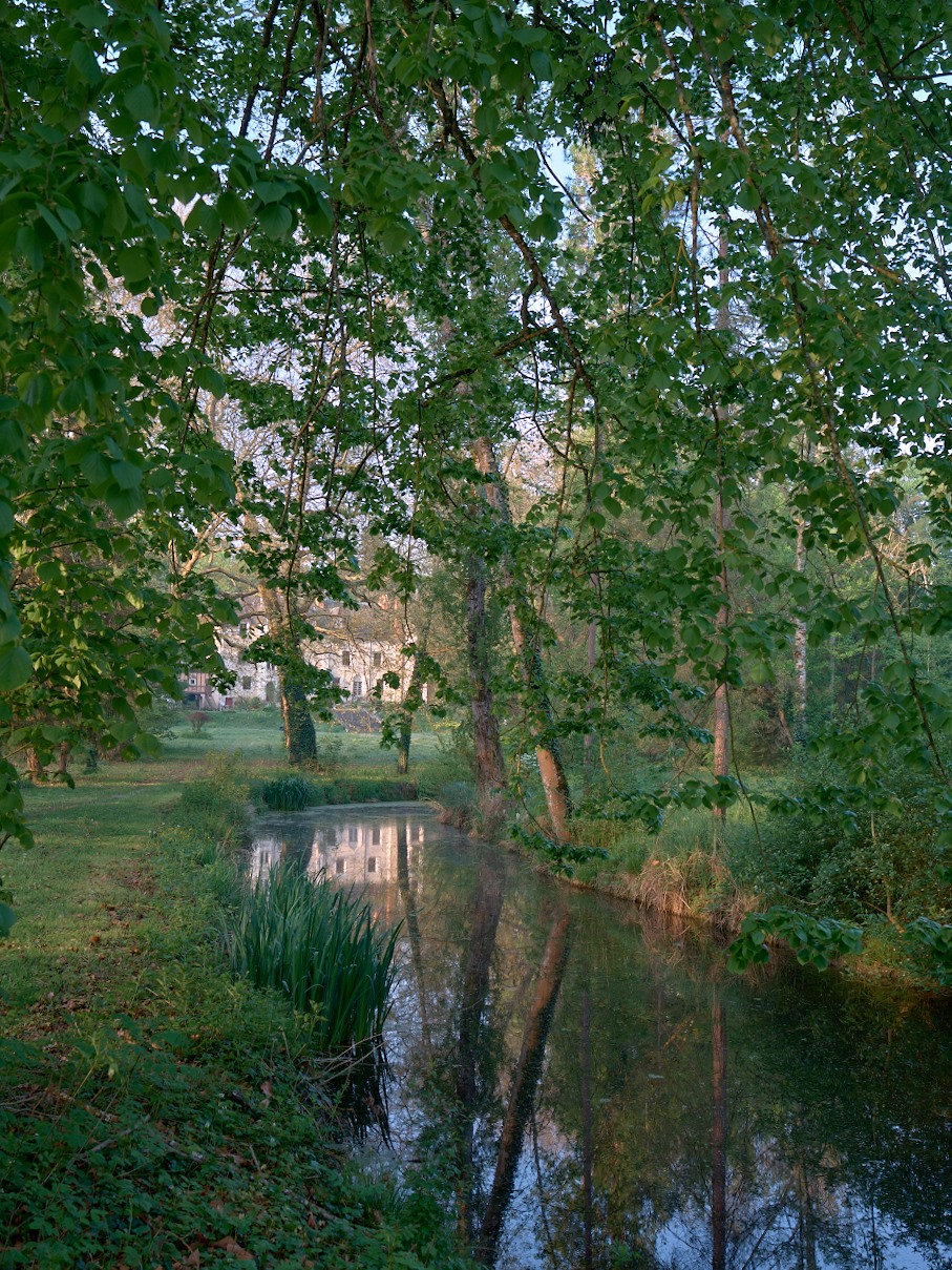 Riverside Castle in ancient parkland