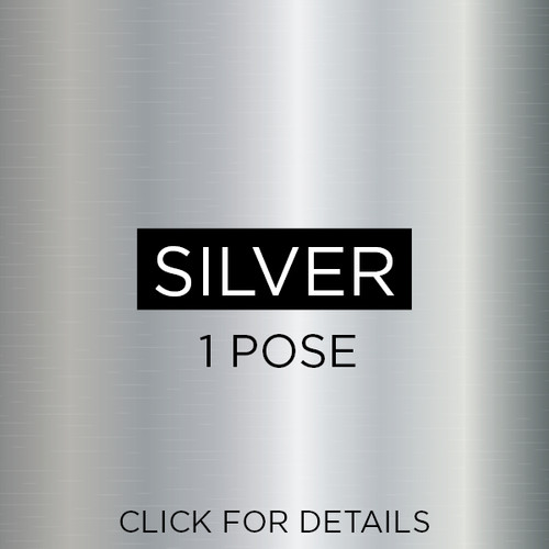 SILVER PACKAGE | website