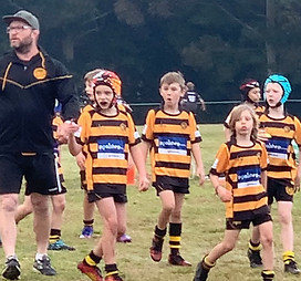 Home | narrabeenrugby