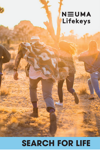 Search for Life - Full Program (USB Only) | Lifekeys