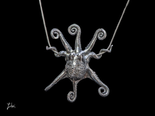 the Octopus pendant | illustgarten