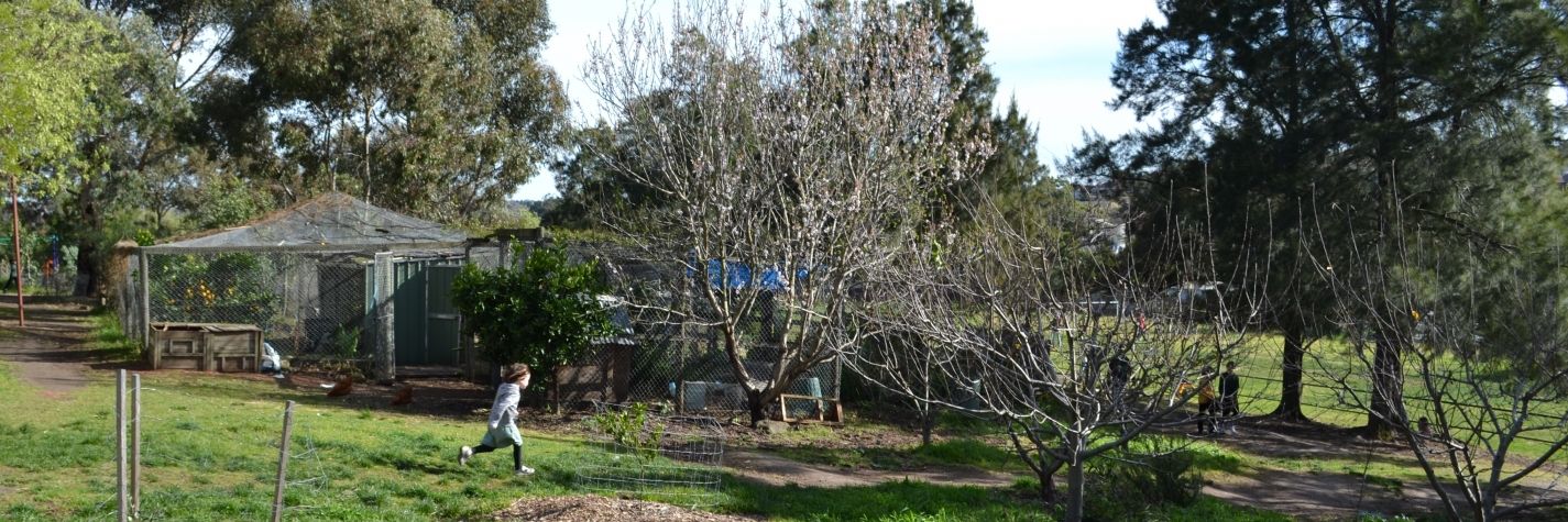Brunswick North West Primary School
