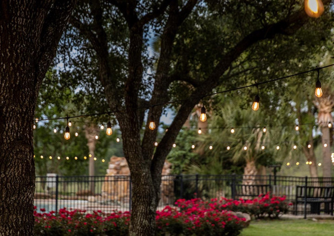 THE RANCH | Rockin' Star Ranch | United States