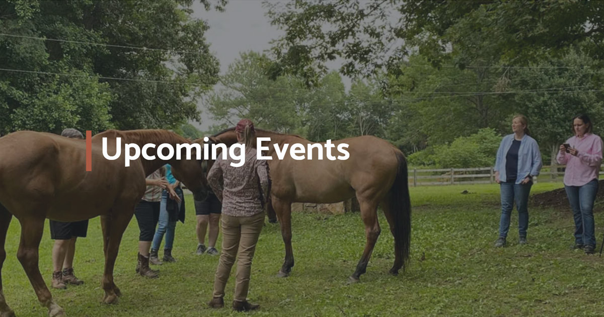 Events