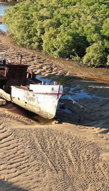 Mackay Whitsunday Buses