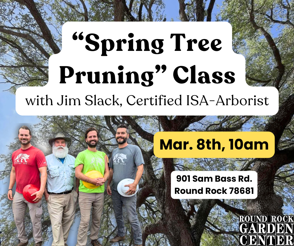 "Spring Tree Pruning 101" Class with Jim Slack, Certified Arborist ...