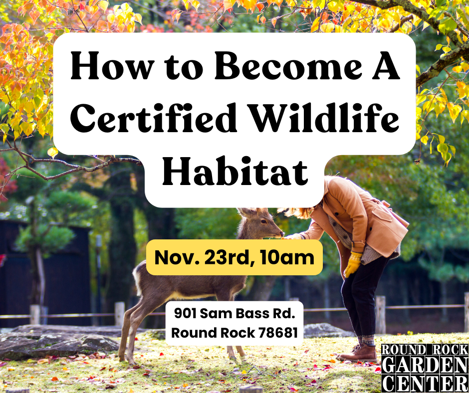 "How to Become A Certified Wildlife Habitat" Class | Round Rock Gardens