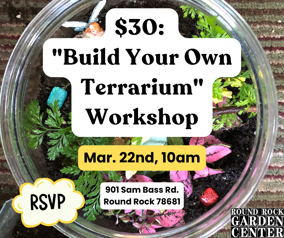 $30: "Build Your Own Terrarium" Workshop | Round Rock Gardens