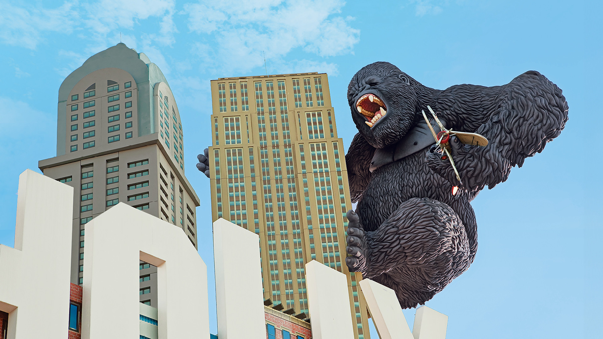 Contact SYC to Begin Your Project | Studio Y Creations