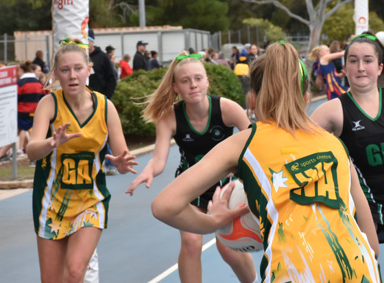 North Eastern Netball Association | About