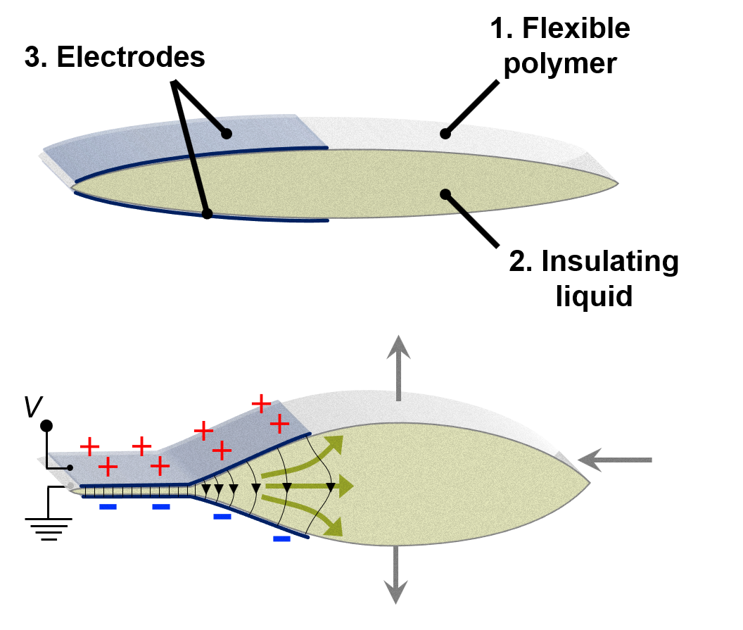 FAQ | Artimus Robotics