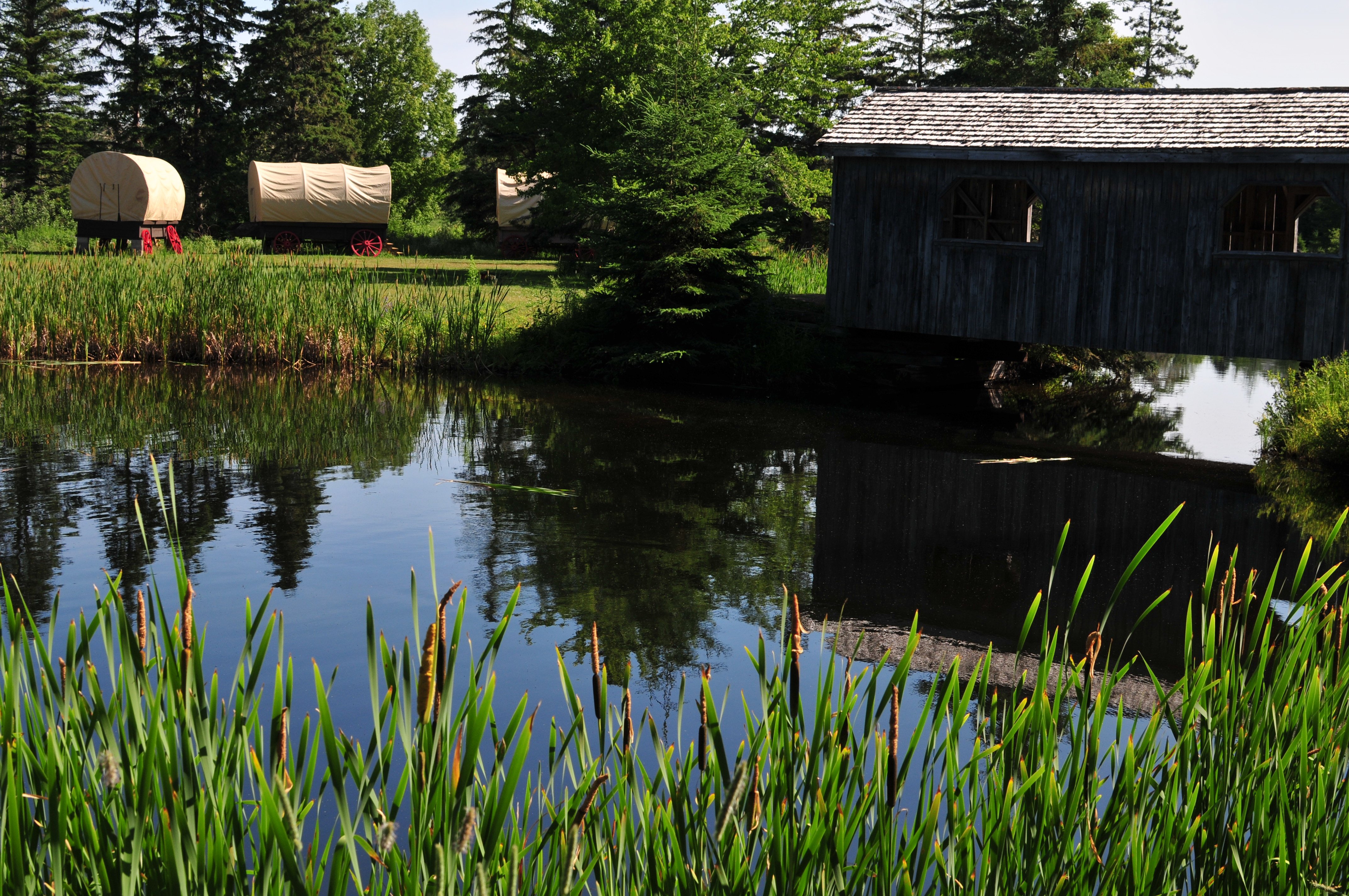 GALLERY | snidermountainranch