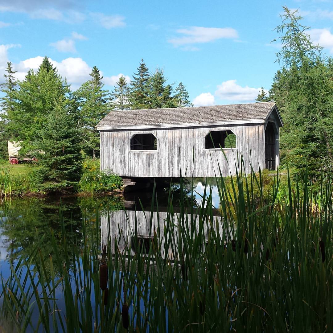 GALLERY | snidermountainranch