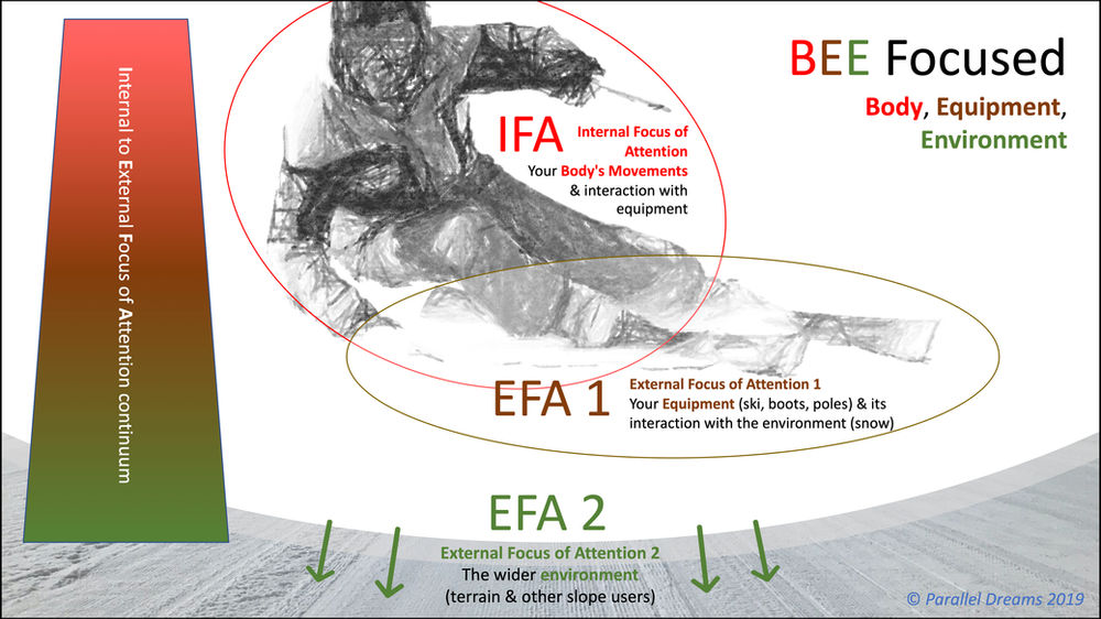 Focus of attention in sport: Internal or external?