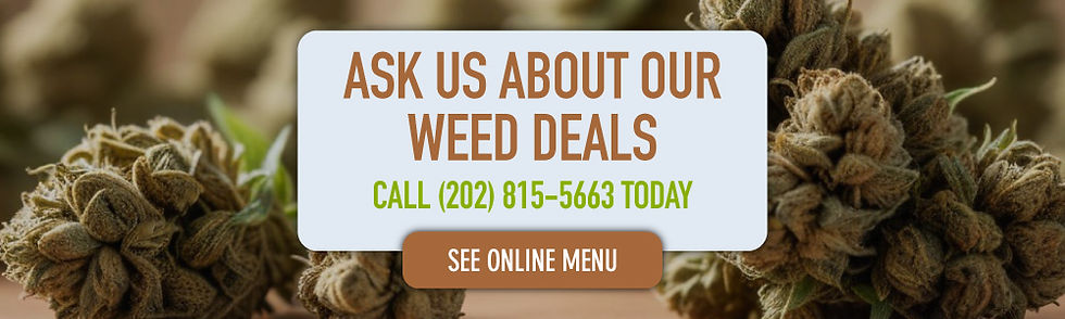 What is Grabba Lead for Weed? Everything You Need to Know