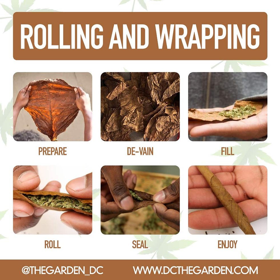 What is Grabba Lead for Weed? Everything You Need to Know