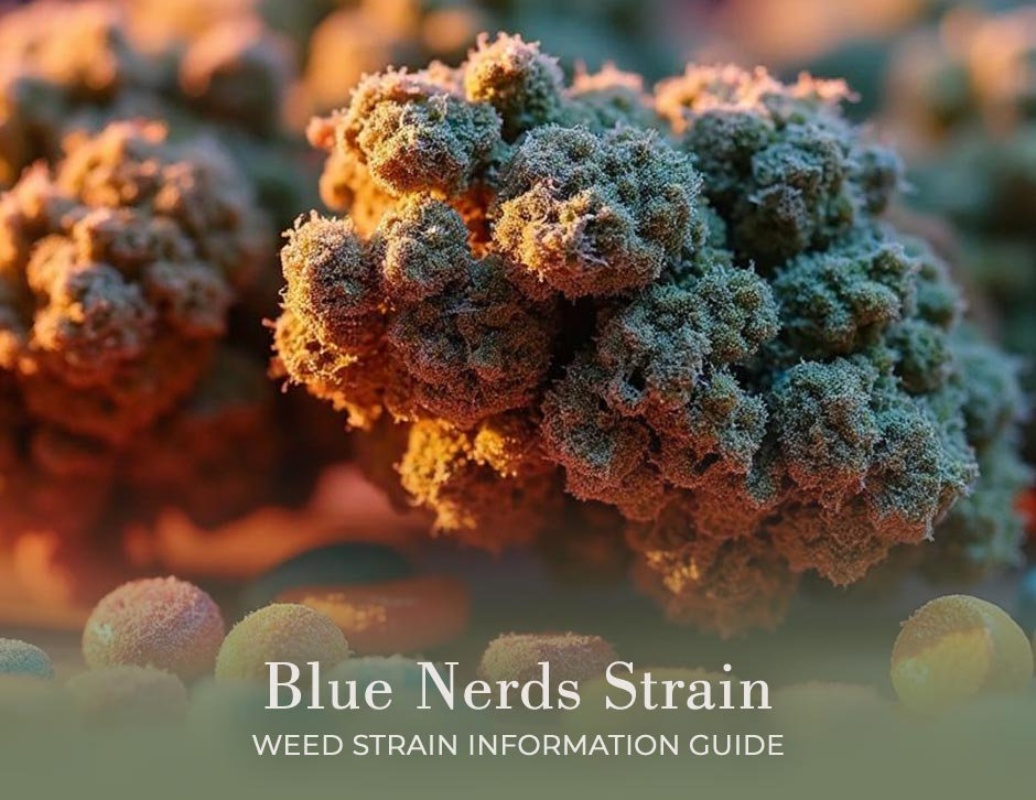 Blue Nerds Strain: Weed Strain Information Guide