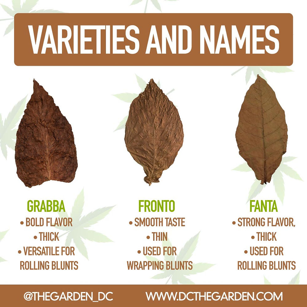 What is Grabba Lead for Weed? Everything You Need to Know